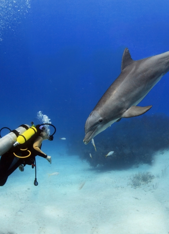 L’Ea Bianca Luxury Resort | Sito Ufficiale